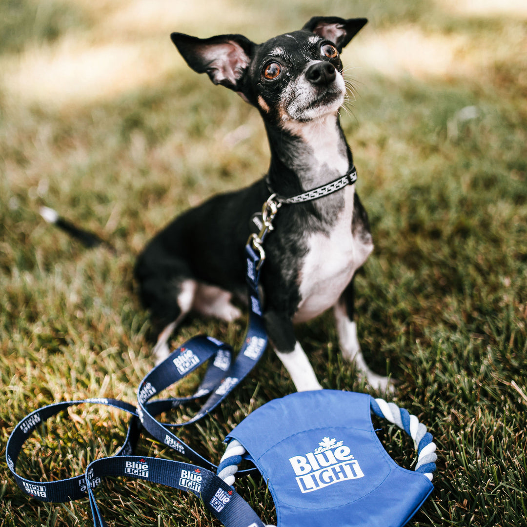 Pets – Shop Labatt USA